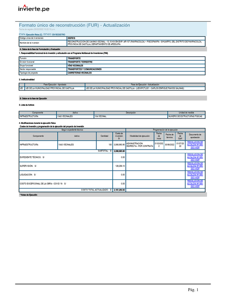 Formato Único de Reconstrucción (FUR) - Actualización | PDF