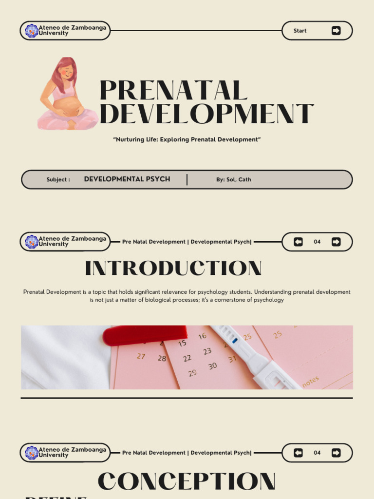Prenatal Development: From Conception to Birth | PDF | Embryo ...