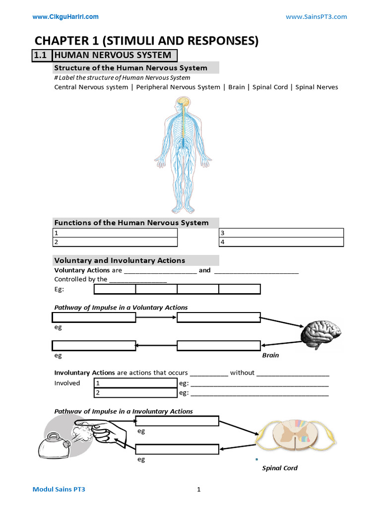 Modul Science F3 DLP | PDF | Ionizing Radiation | Ion