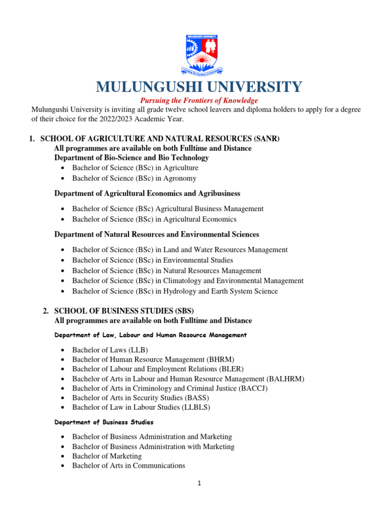 List Of Undergraduate Programmes Pdf Bachelor S Degree Bachelor
