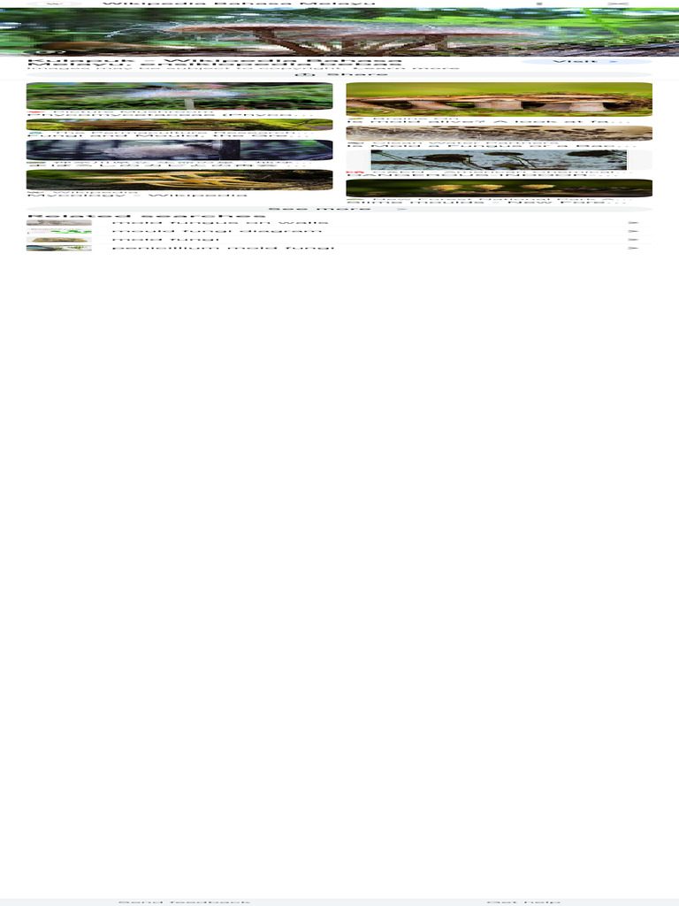 Foto Kulapuk - Google Search | PDF | Social Science