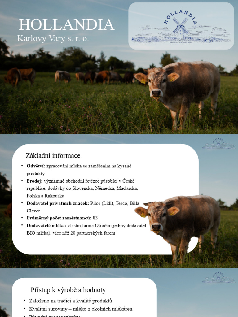 Prezentace 1 - Představení Firmy - Design | PDF