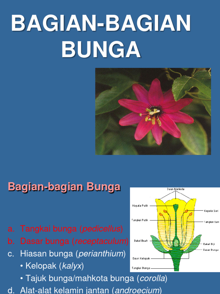 Bagian-Bagian Bunga | PDF