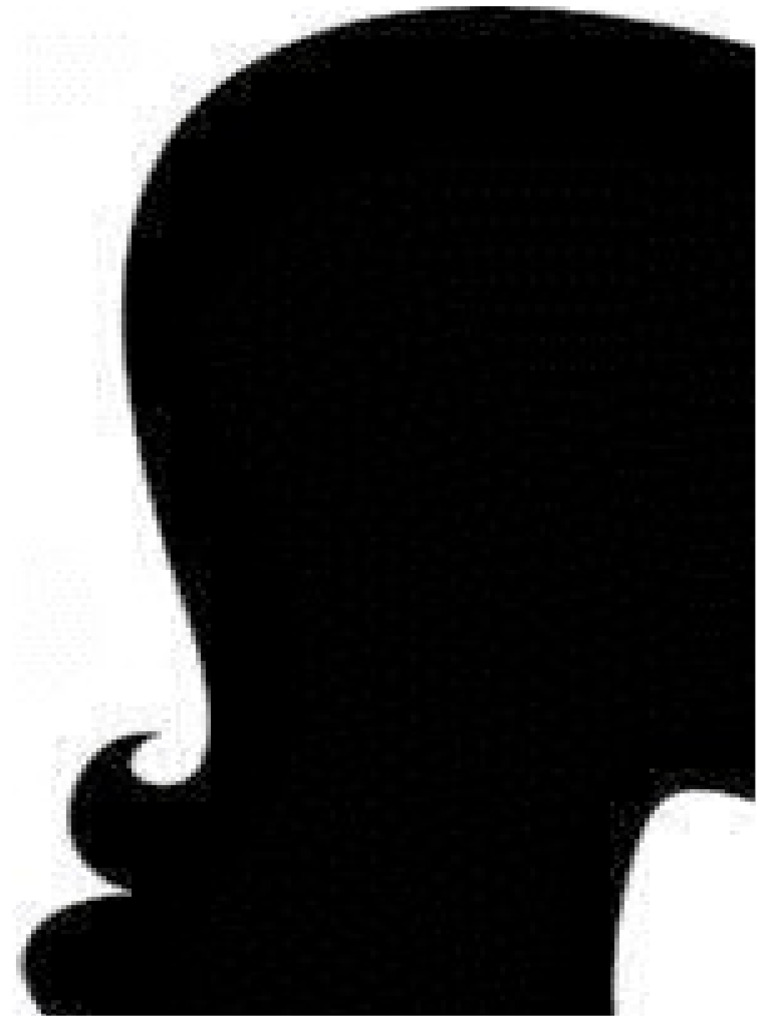 Silueta Dia De La Madre Pdf