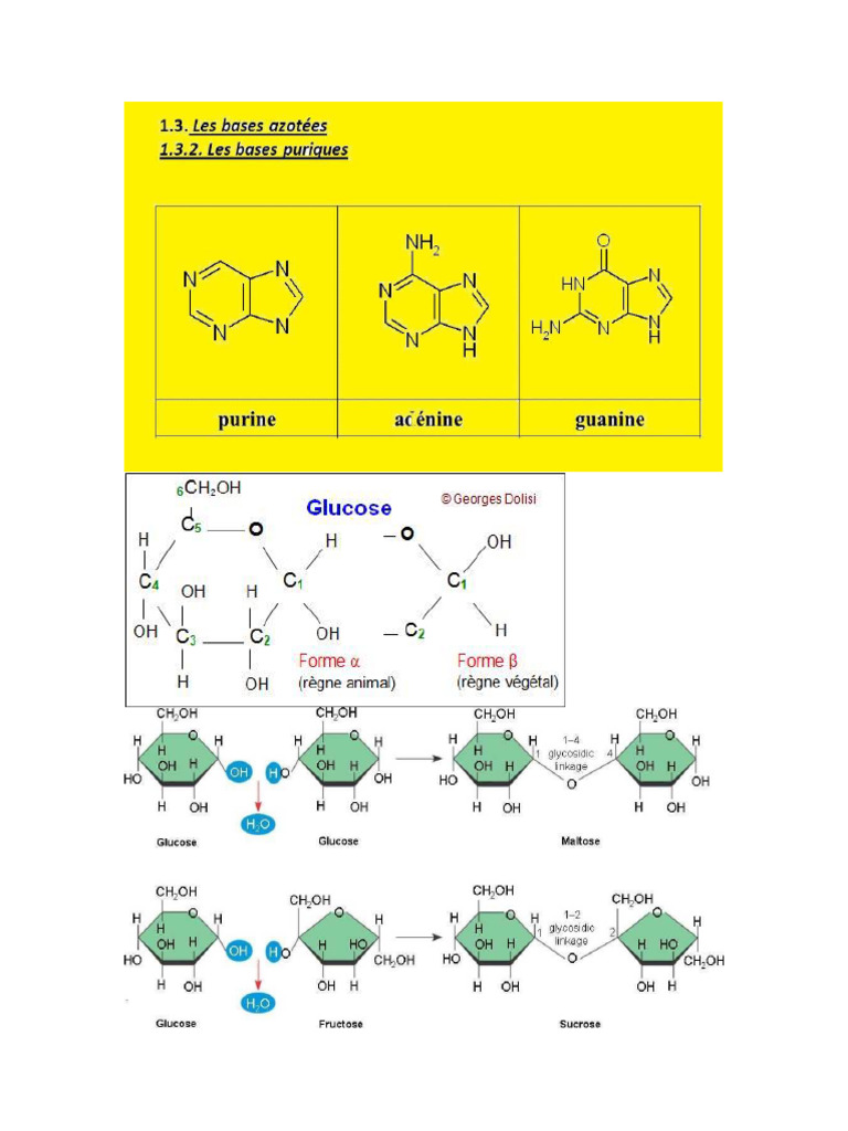 Structures Bioch | PDF