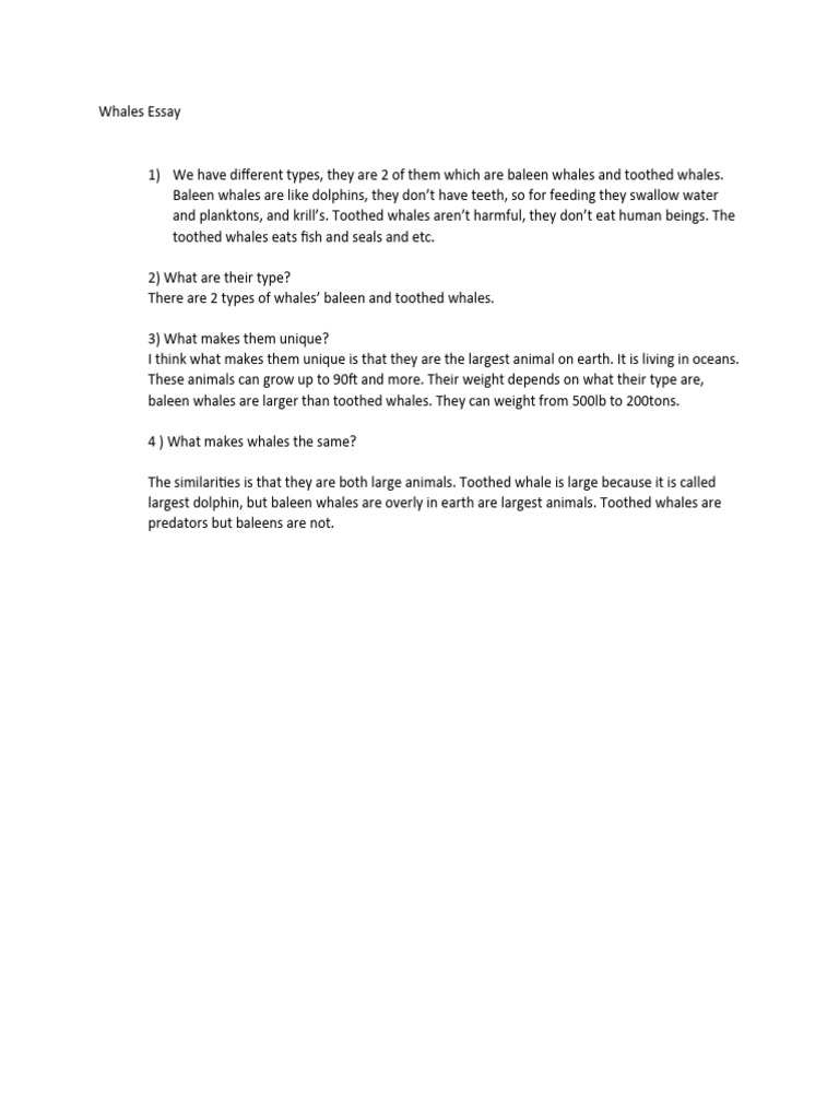 Whales Essay | PDF