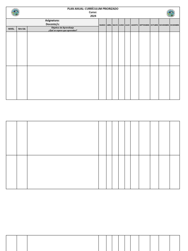 FORMATO Plan Anual 2024 - CBPHP | PDF