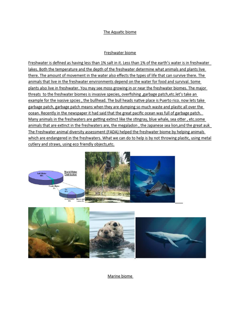 The Aquatic Biome | PDF | Oceans | Sea