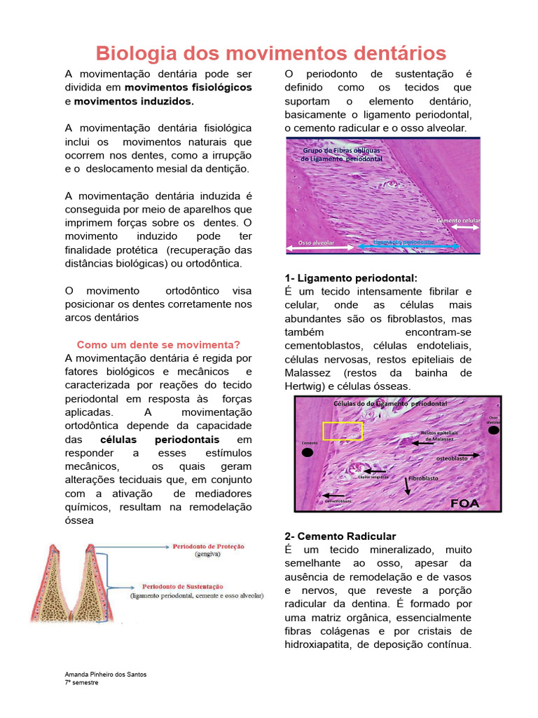 Biologia Dos Movimentos Dentários - Aula 3 | PDF | Dente | Osso