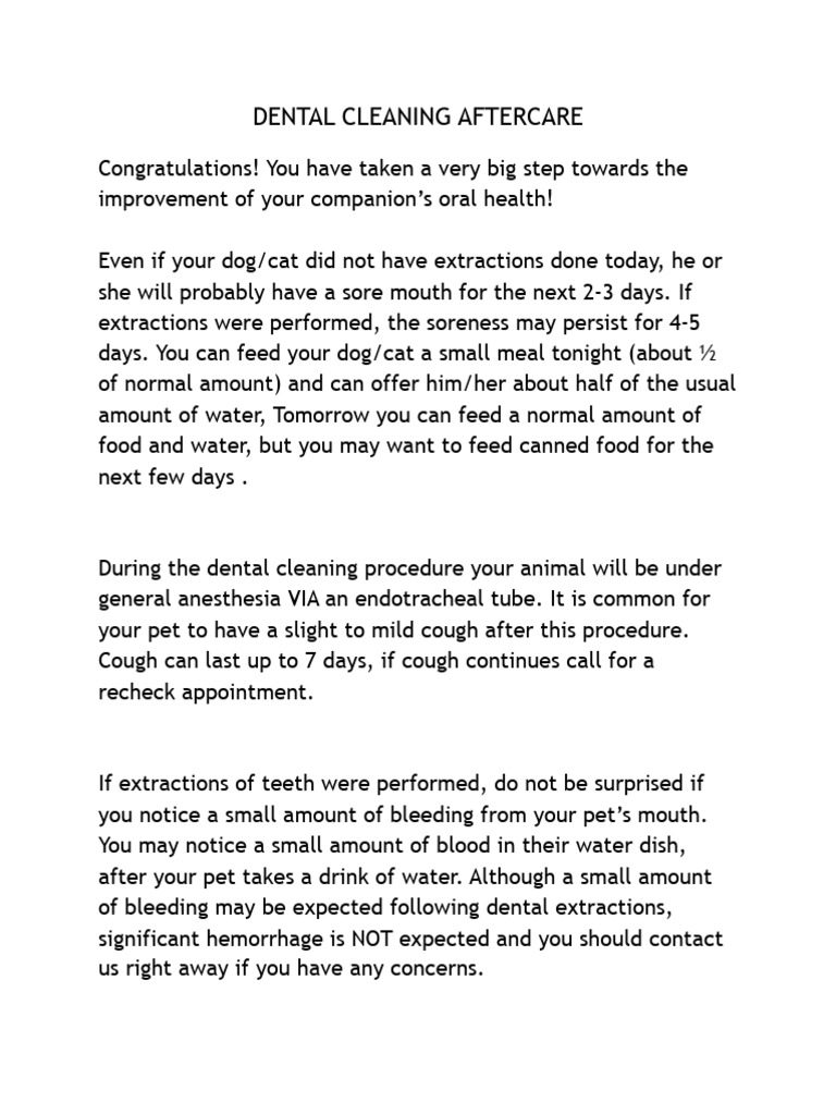 Dental Cleaning Aftercare | PDF