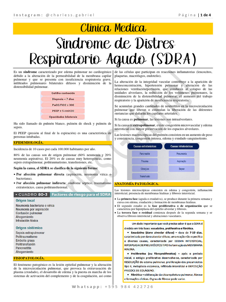 11 - Sdra | PDF