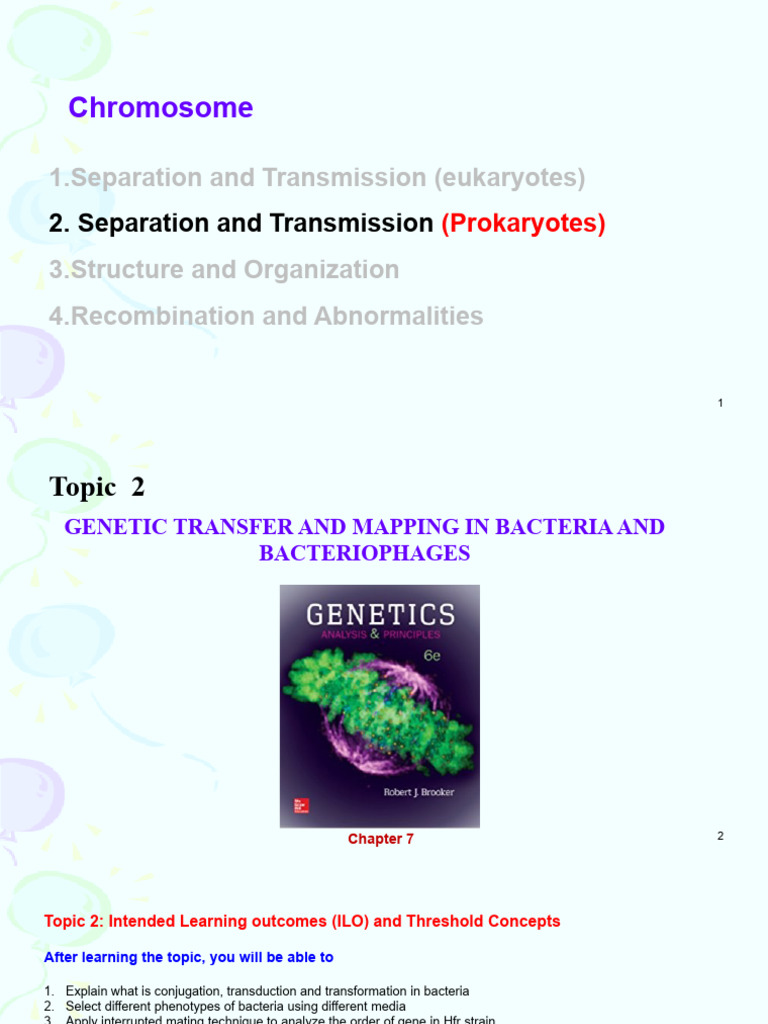 Mapping Genes in E. coli via Hfr Conjugation | PDF | Transformation ...