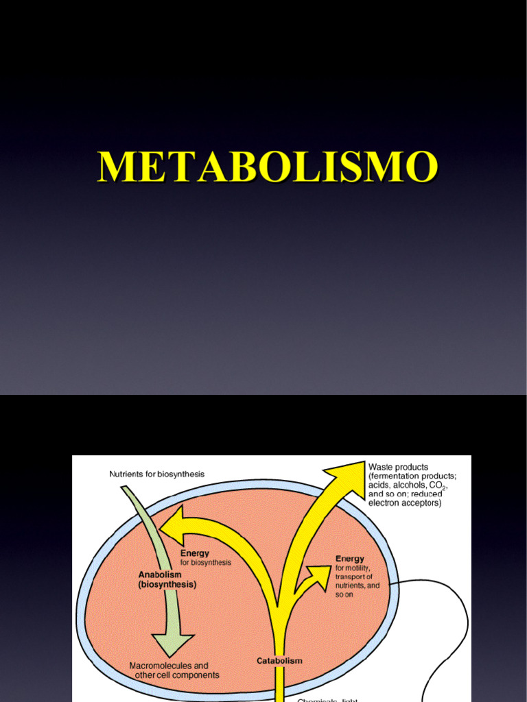 ENERGÍA Cambios | PDF | Respiración celular | Trifosfato de adenosina