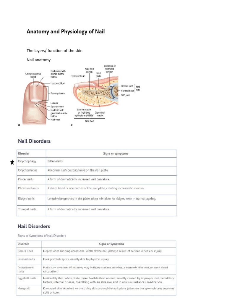 Anatomy and Physiology of Nail | PDF