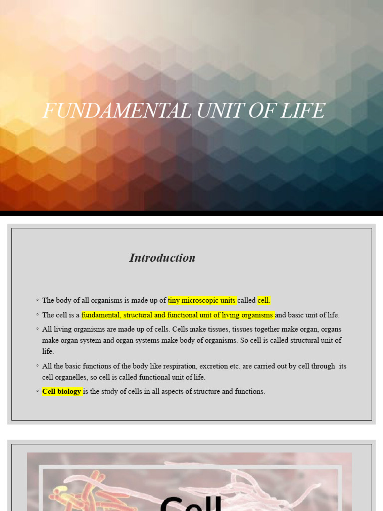Cell: The Fundamental Unit of Life | PDF | Cell (Biology) | Osmosis