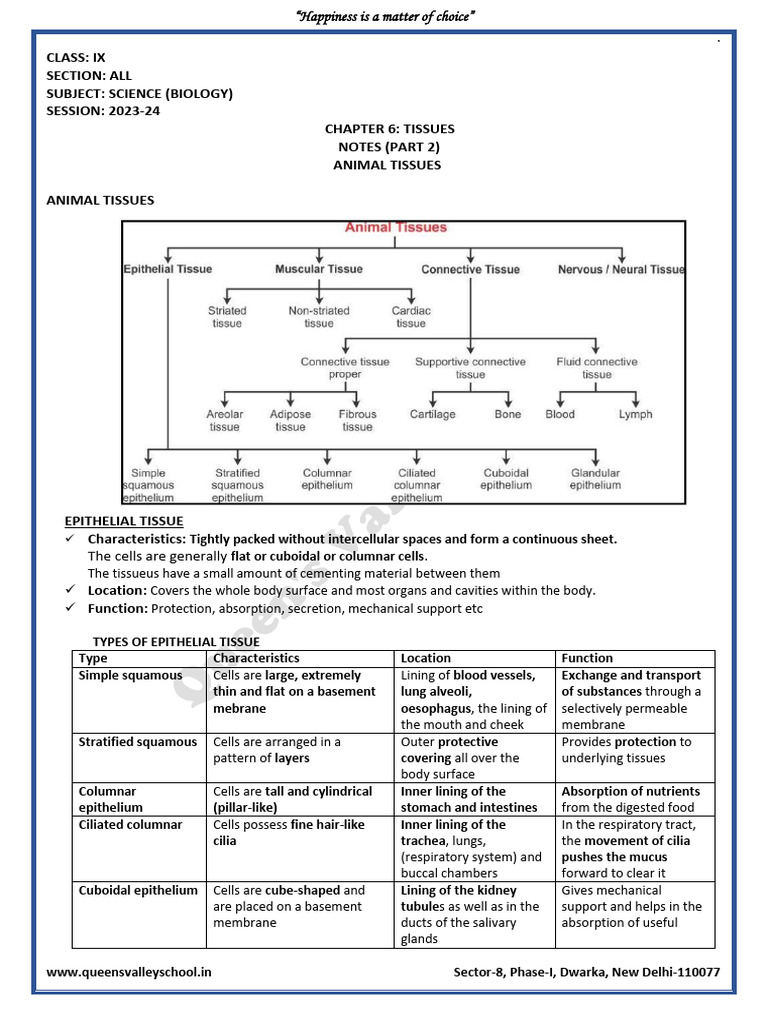 Class 9 Animal Tissues Overview | PDF | Epithelium | Tissue (Biology)