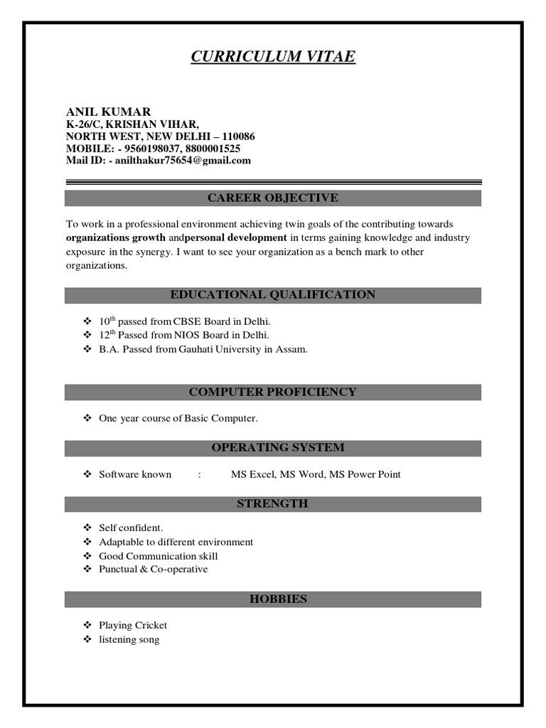Anil Kumar's Professional CV | PDF