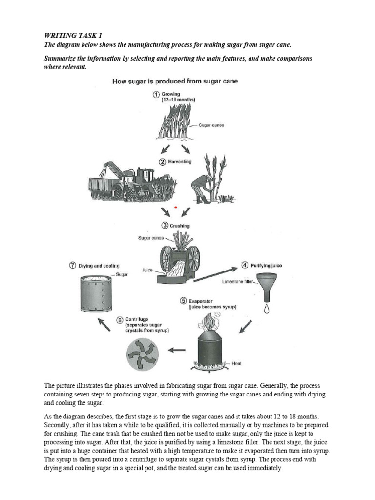Writing Task 1 | PDF