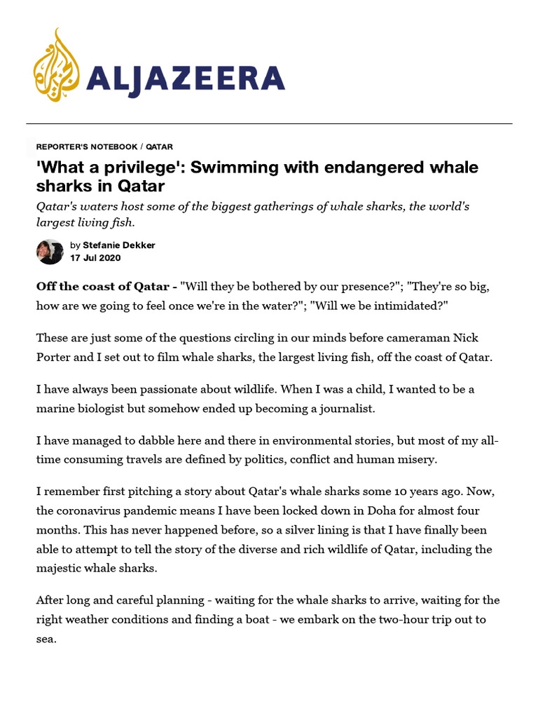 'What A Privilege' - Swimming With Endangered Whale Sharks in Qatar ...