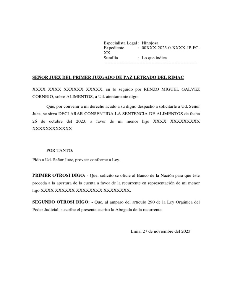 Solicito Consen de Sent. Modelo | PDF