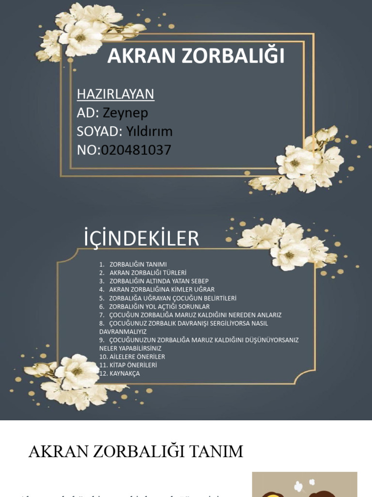 Akran Zorbalığı 2 | PDF