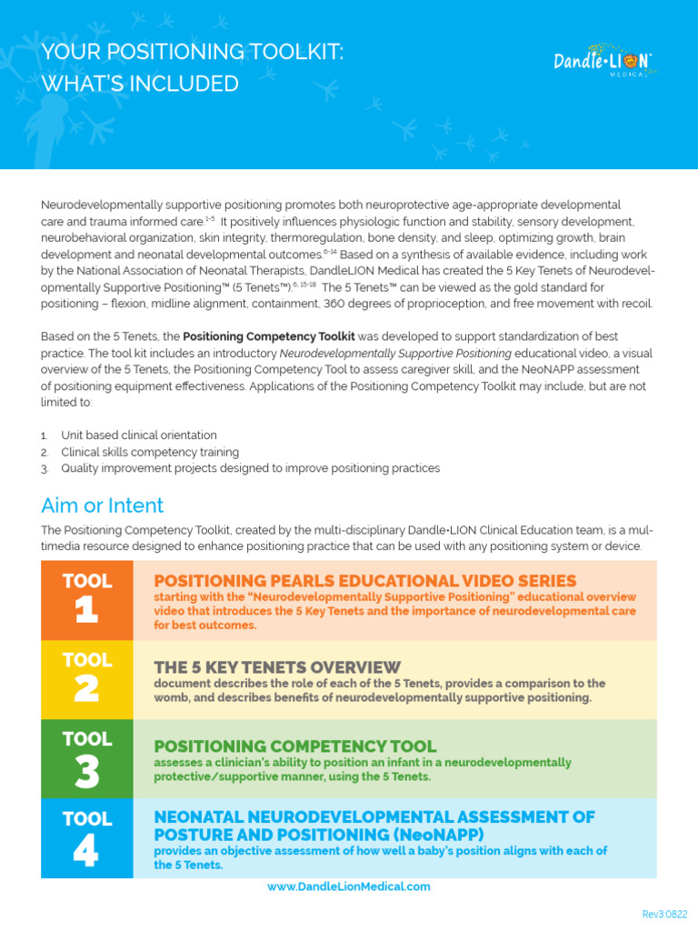 DandleLION Positioning Competency Toolkit Complete-Rev3-0822 | PDF