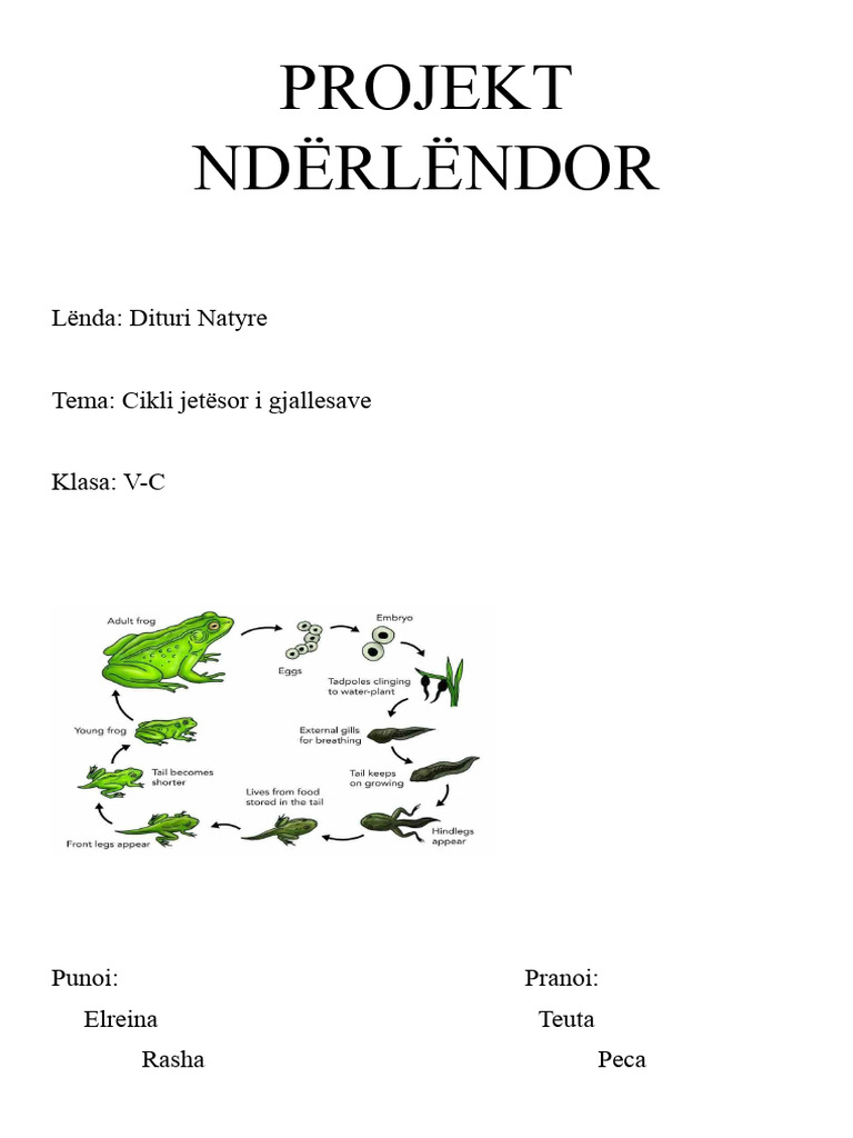 Projekt Nderlendor Dituri Natyre | PDF
