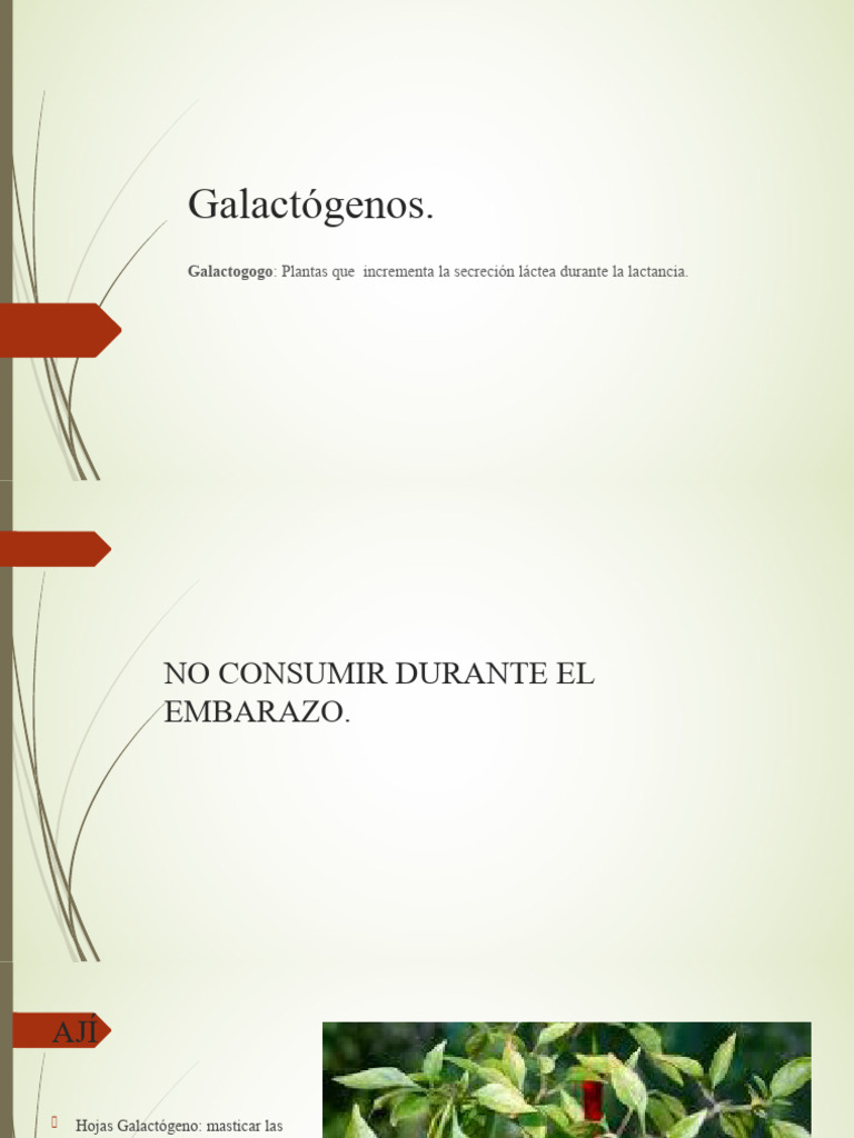 Alimentos Galactógenos para Lactancia | PDF | Salud y bienestar