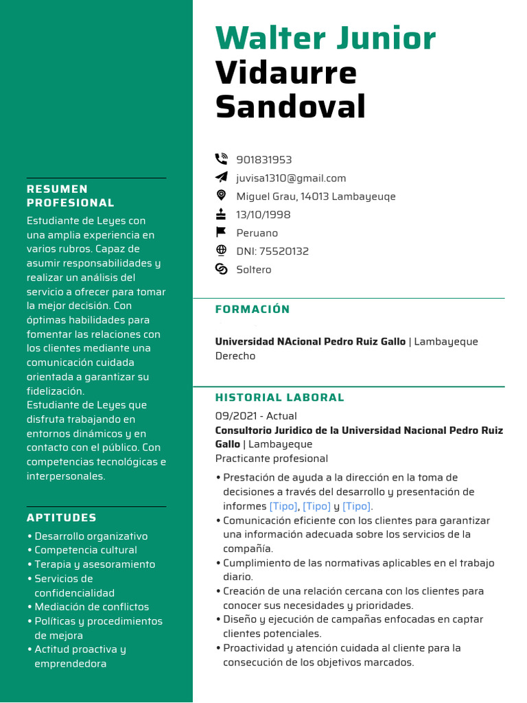 Walter Junior - Vidaurre Sandoval - CV | PDF | Crecimiento personal y profesional | Negocios