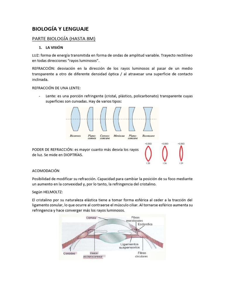Anatomía y Función del Ojo Humano | PDF | Ojo humano | Percepción visual