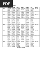MadFit 30-Day Workout Schedule | PDF