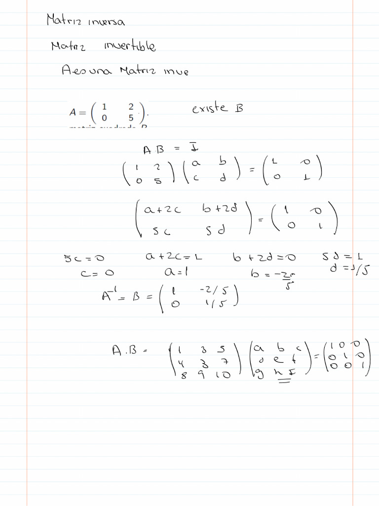 Matriz Inversa | PDF