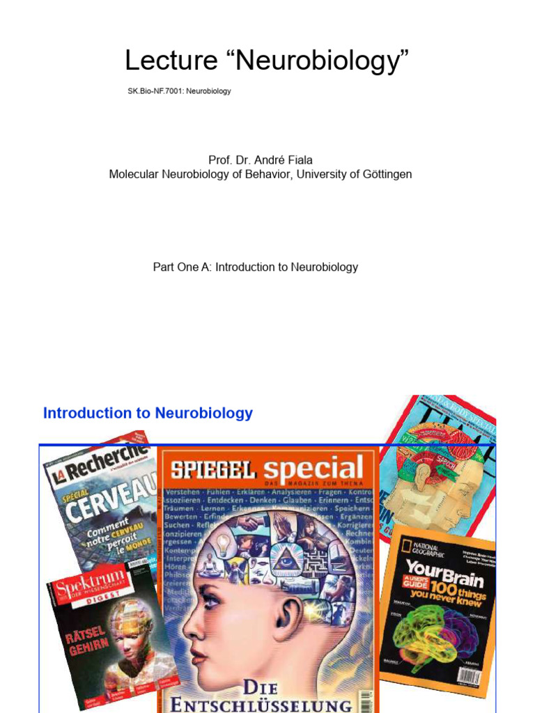 Neurobiology 1 - A - Introduction. | PDF | Neuron | Neuroscience