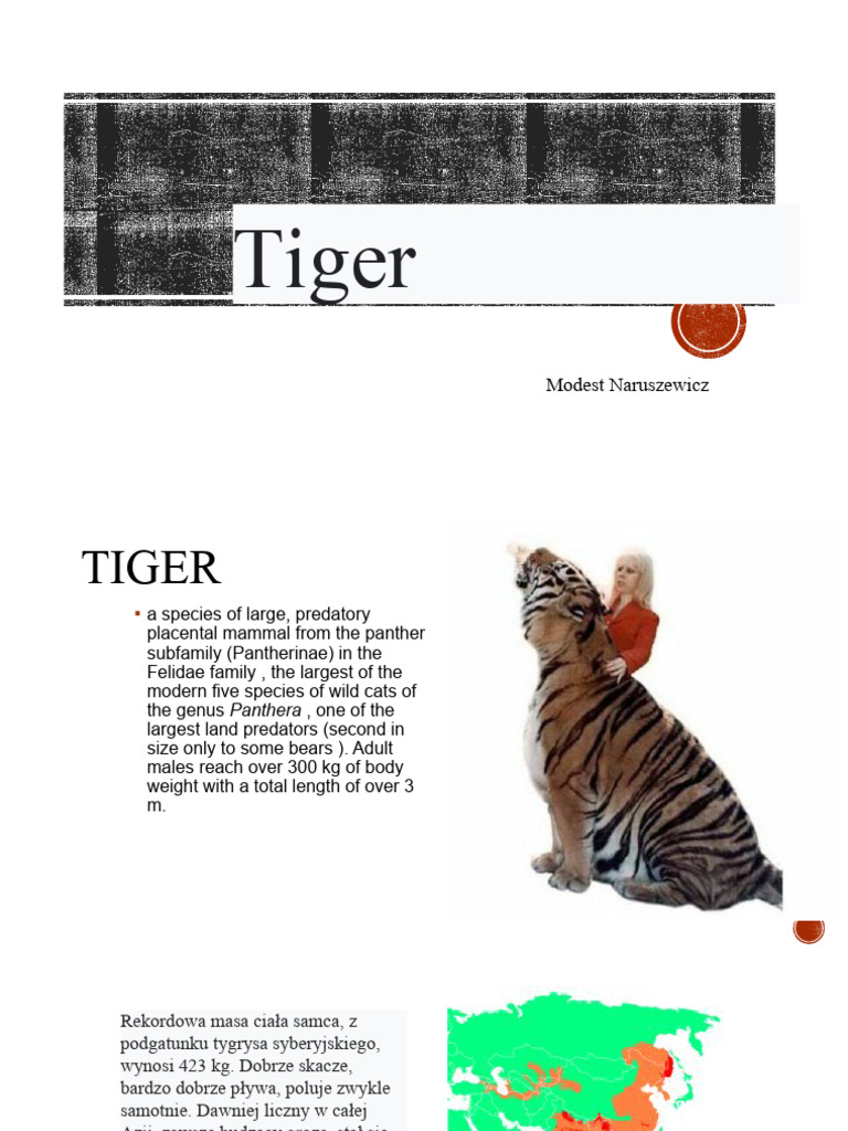Tiger | PDF