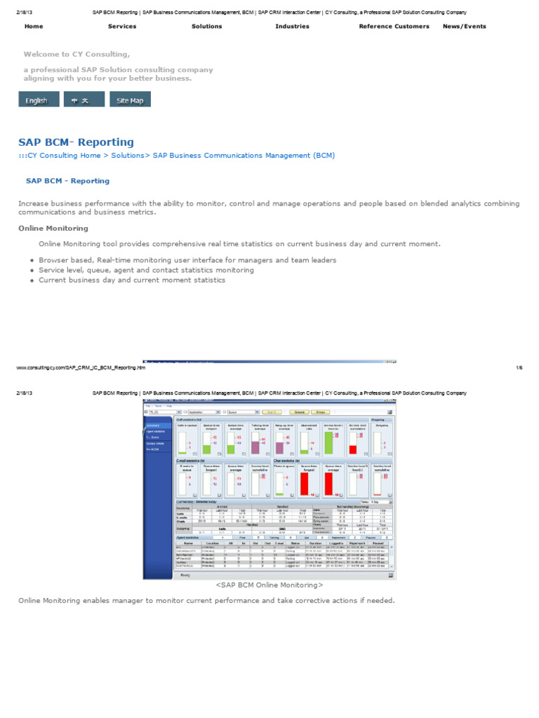 SAP BCM-Reporting | PDF | Customer Relationship Management | Information Technology Management