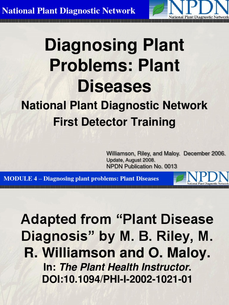 Diagnosing Plant Problems Plant Diseases Pdf Plant Pathology