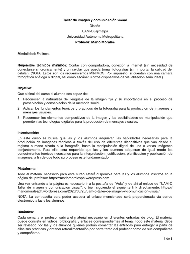 Programa Taller Imagen y Comunicación Visual - Mario Morales | PDF