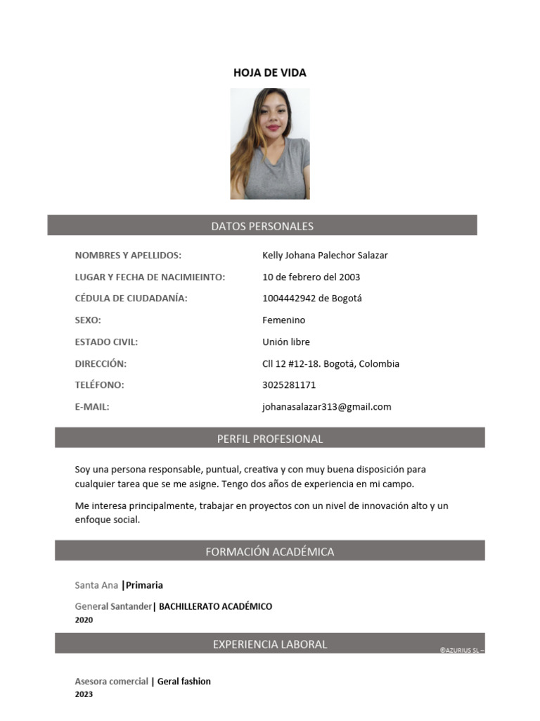X5 Formato Hoja de Vida Basica y Formal | PDF