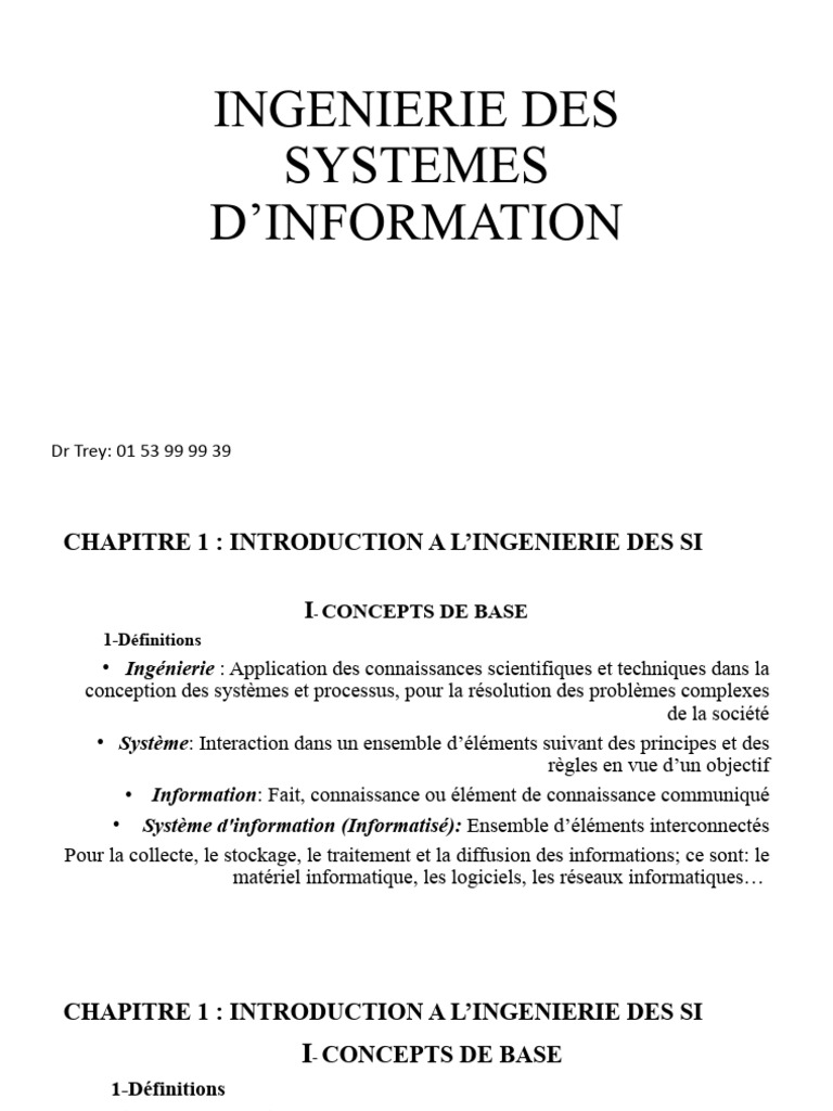 Ingenierie Des Systemes D'information | PDF | Informatique | Application
