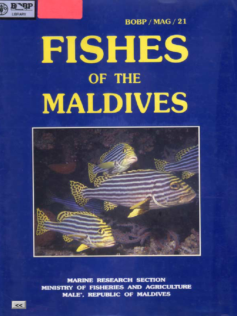 Fishes of The Maldives | PDF