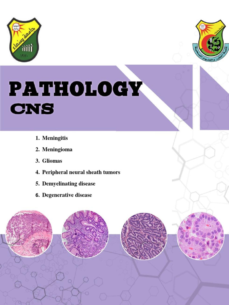 CNS Pathology | PDF