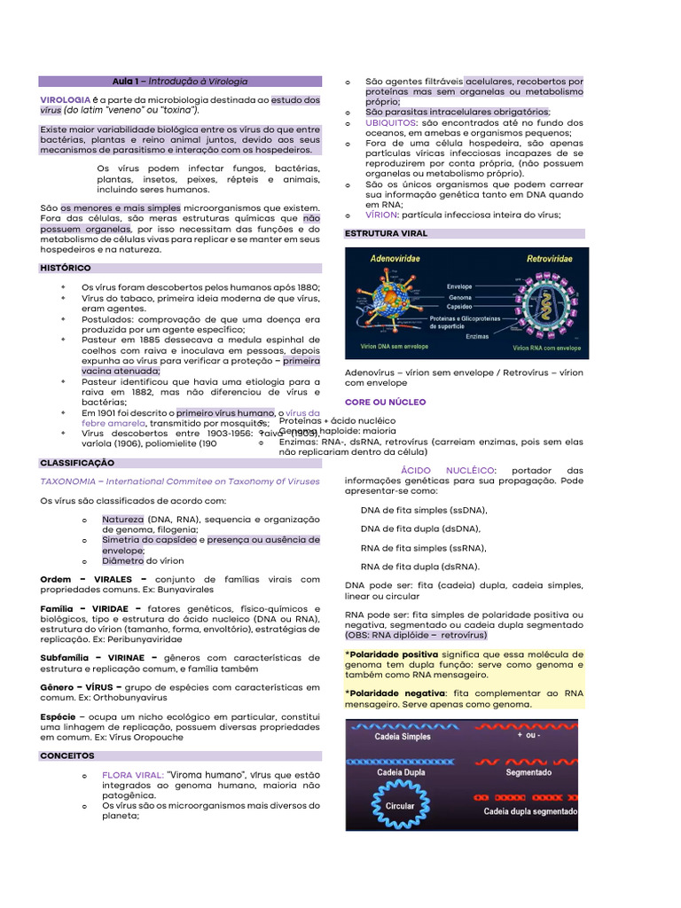 Revisão de Virologia - Resumo Arthur | Download grátis PDF | Vírus ...