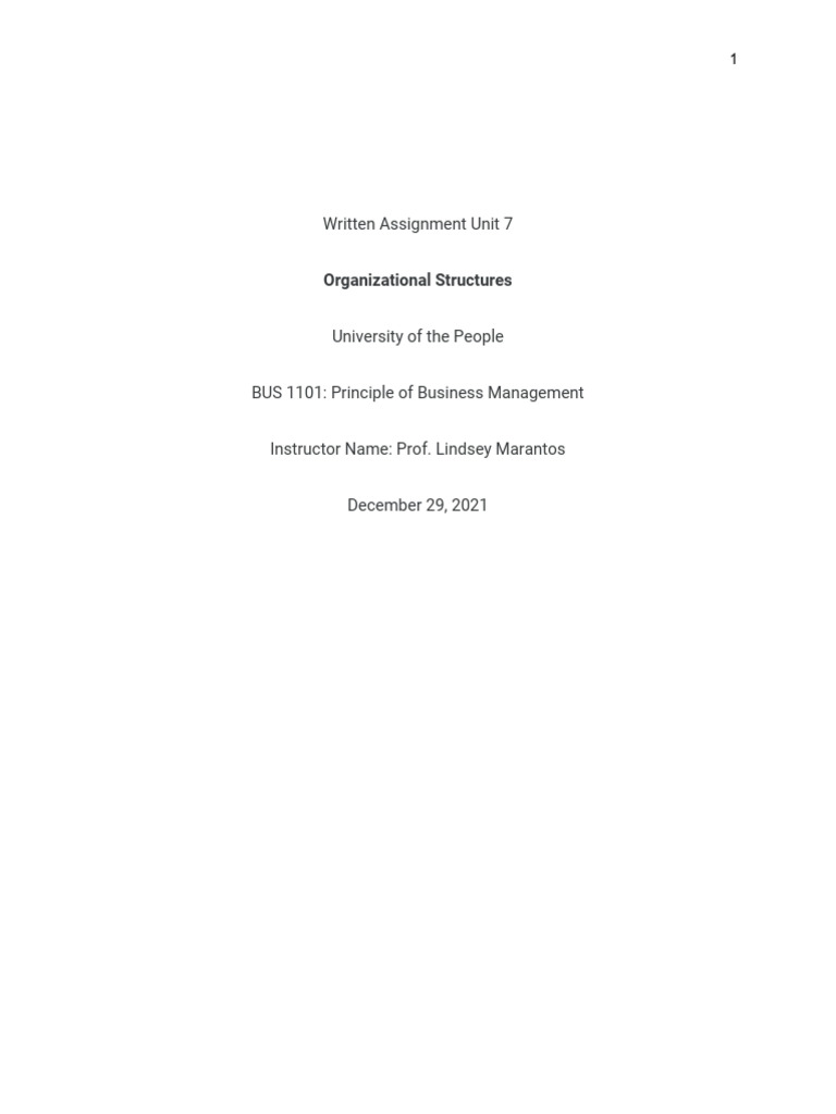 Organizational Structure Challenges | PDF