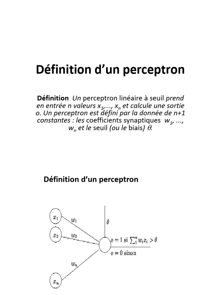 Définition D'un Perceptron | PDF