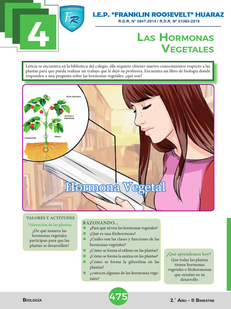 Las Hormonas Vegetales Biologia 1º Secundaria | PDF