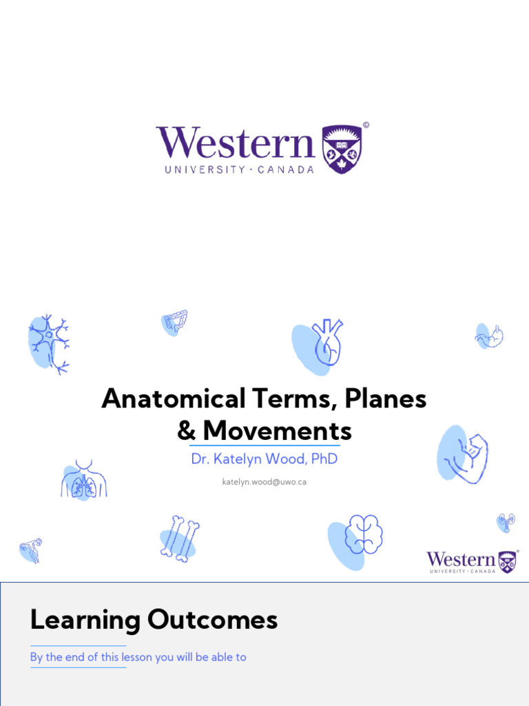 Kin2222 - Anatomical Terms, Planes - Movements 2 2 | PDF | Ankle ...