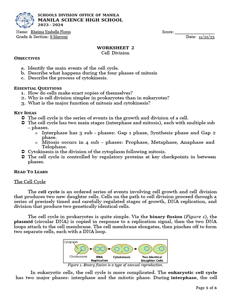 Flores - Q2 - WS2 - Cell Division | PDF | Mitosis | Cell Cycle
