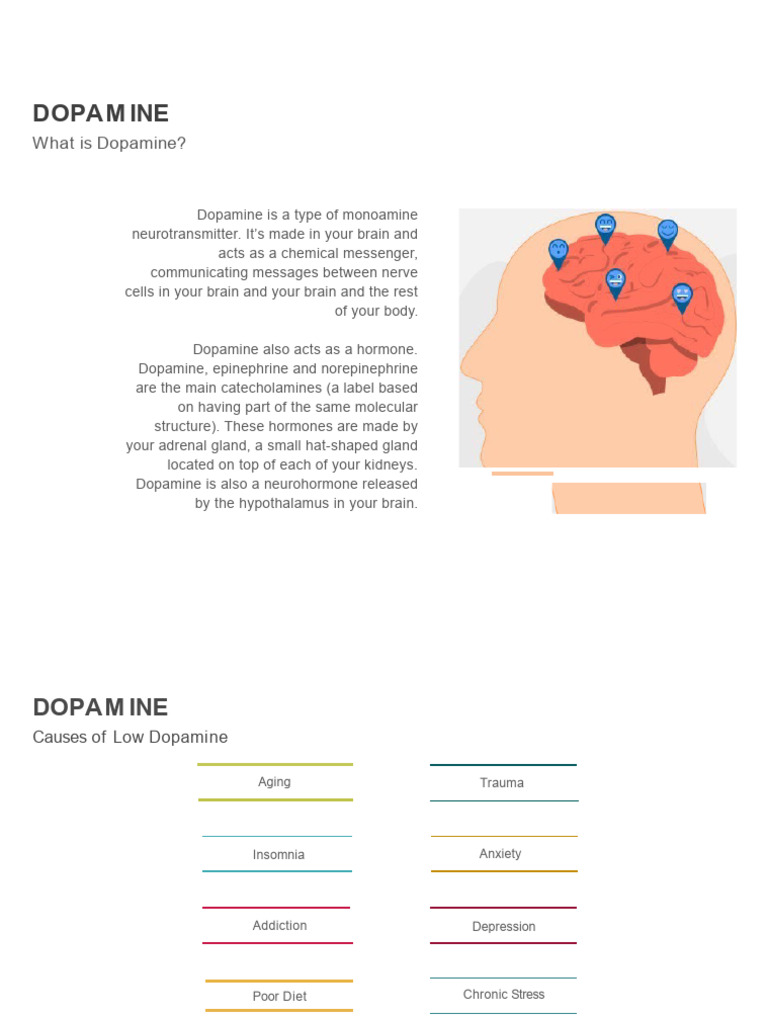 Dopamine Slide Presentation | PDF
