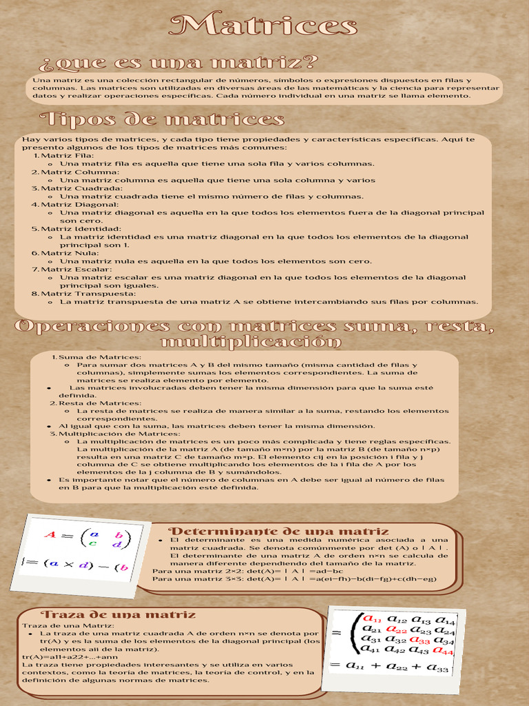 Tipos y propiedades de matrices | PDF | Matriz (Matemáticas) | Determinante