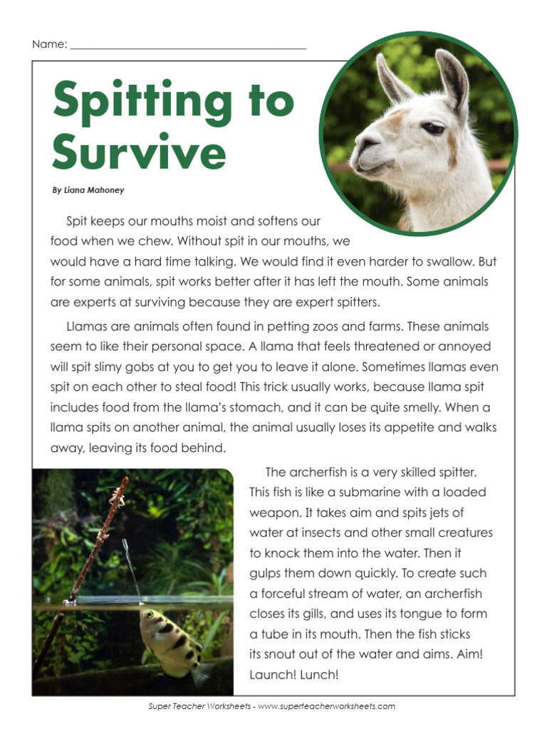 5th Spitting Animals - WBFFF | PDF | Snake